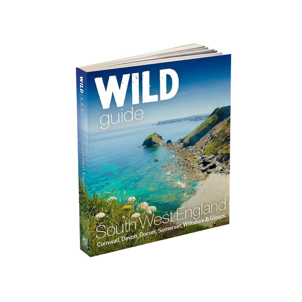 Wild Guide South West (new edition) – Walk Wheel Cycle Trust Shop